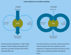 The Circular Economy in the Workplace: Business & the Environment